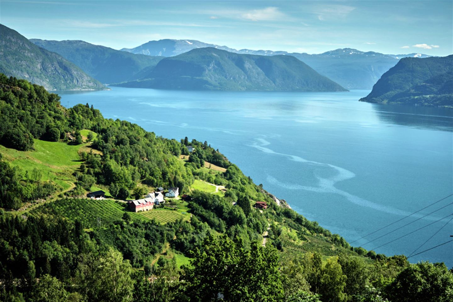 Skal lage marin verneplan for Sognefjorden - Vestland fylkeskommune